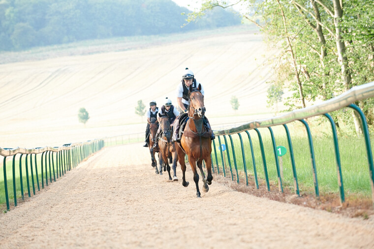 Ben Case - National Racehorse Week
