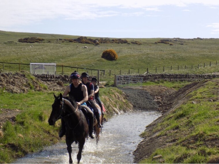 Susan Corbett - National Racehorse Week