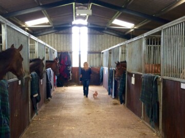 Susan Corbett - National Racehorse Week