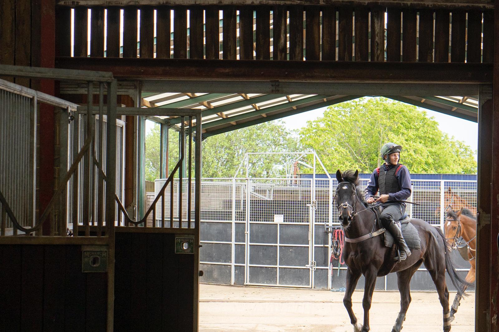 Ben Case - National Racehorse Week