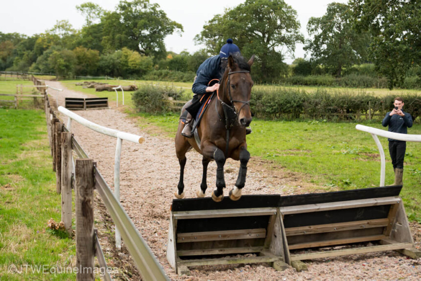About - National Racehorse Week