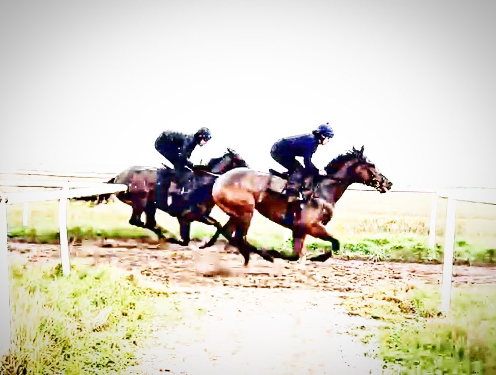 Jessica Bedi - National Racehorse Week