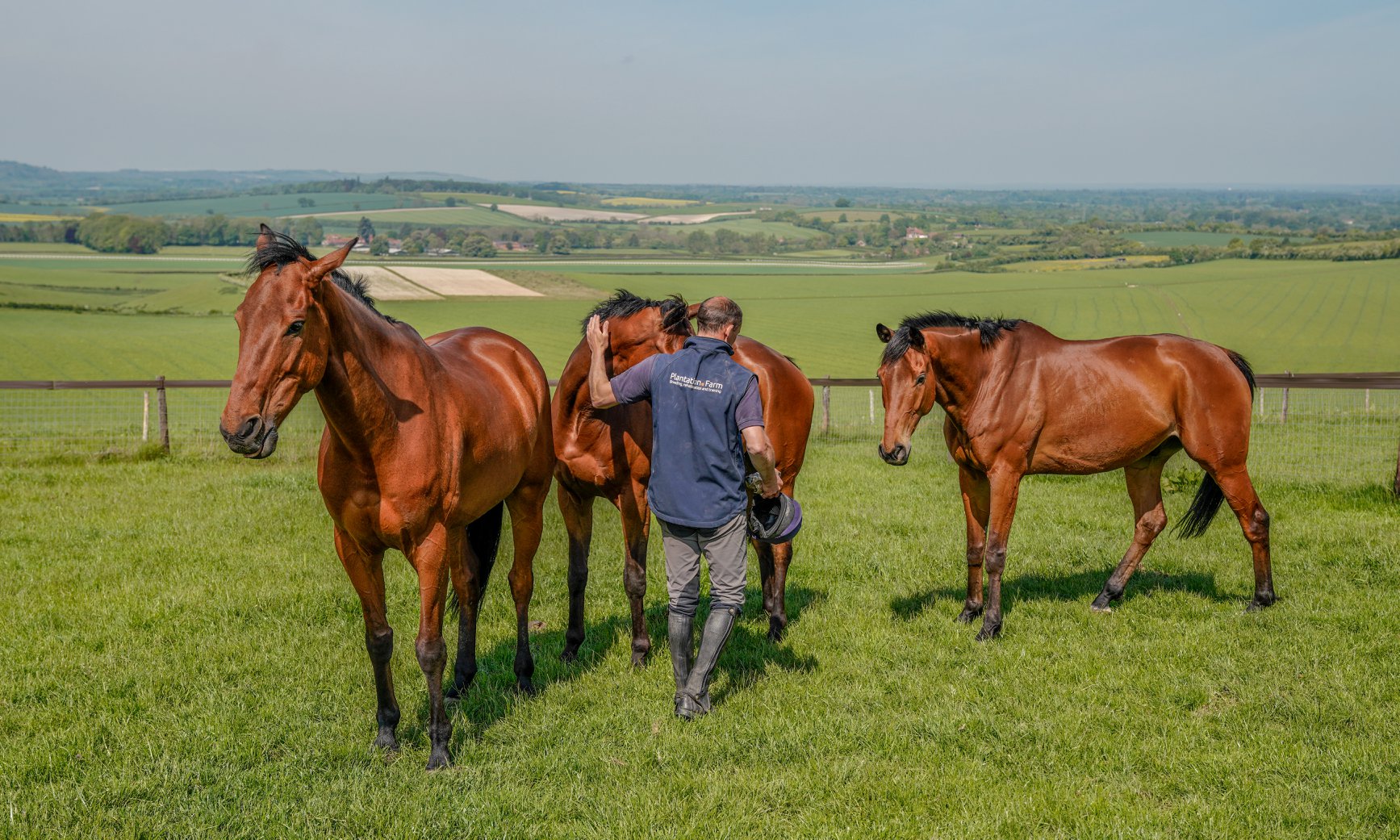 Richard Bandey - National Racehorse Week