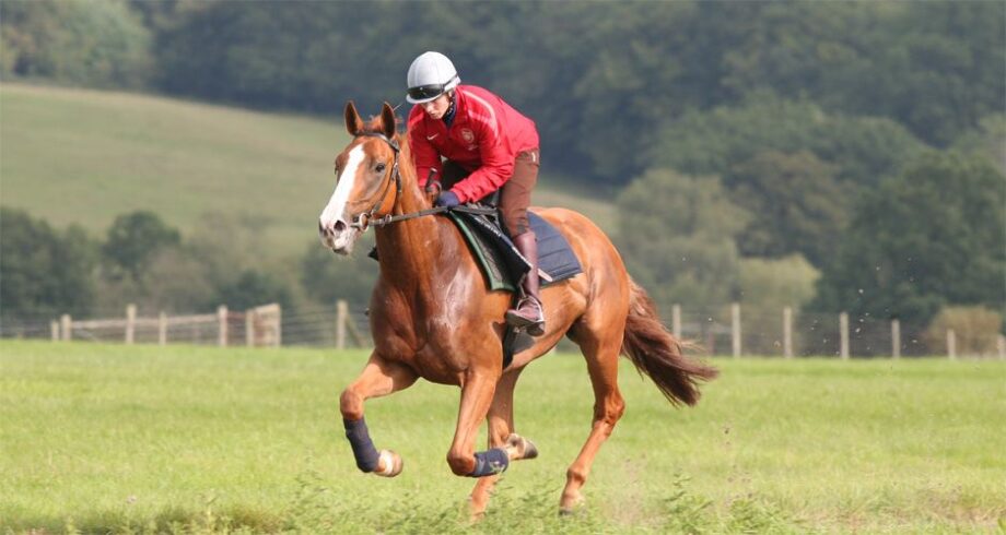 Gary Moore - National Racehorse Week