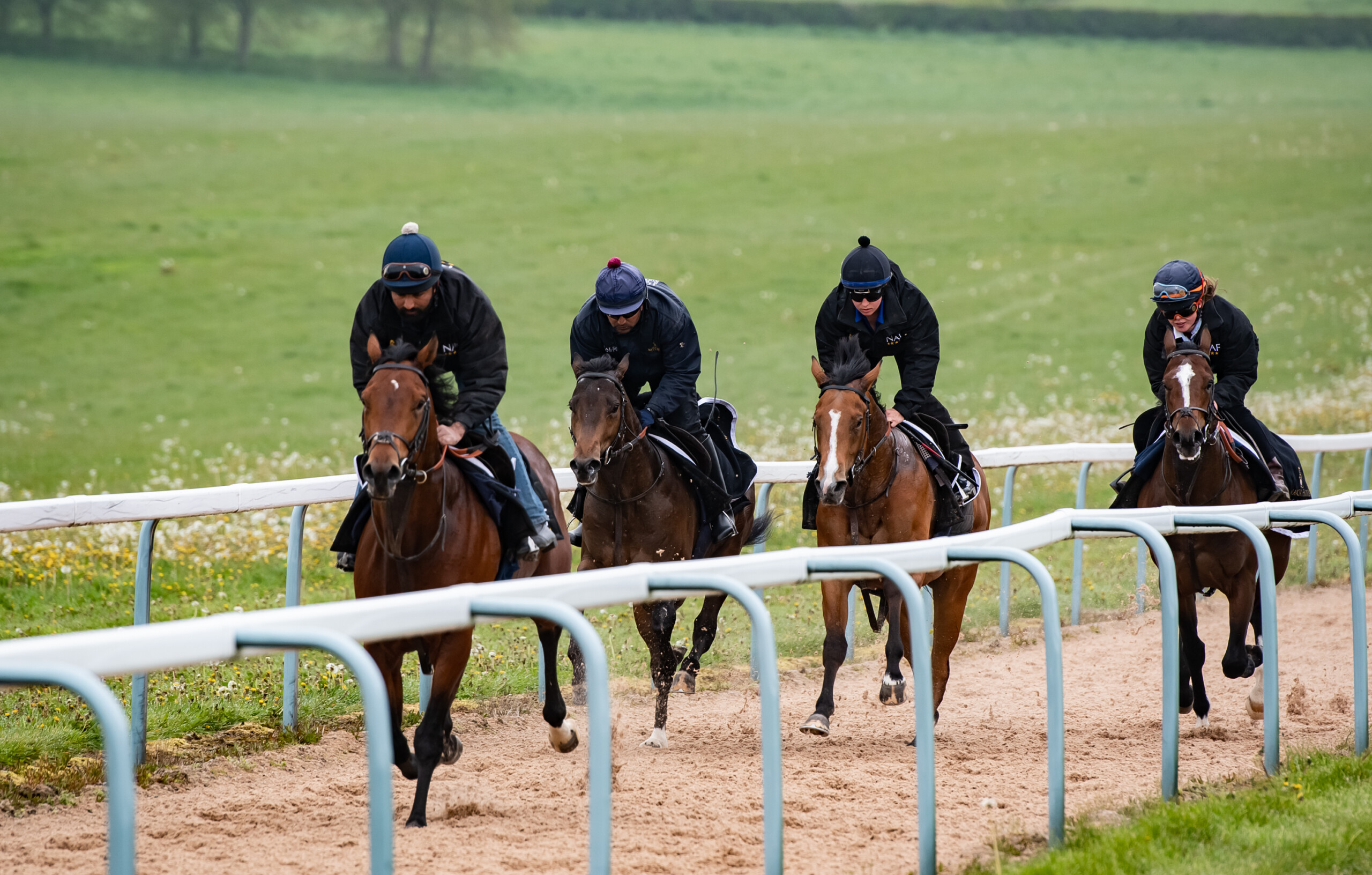 Tom Dascombe - National Racehorse Week
