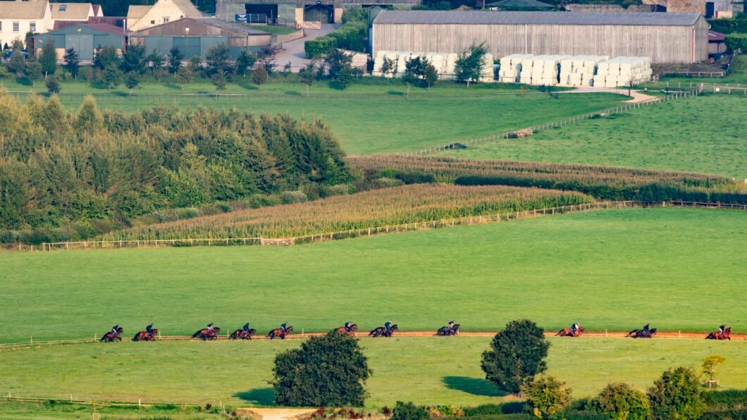 Kim Bailey - National Racehorse Week