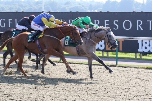 Steph Hollinshead - National Racehorse Week