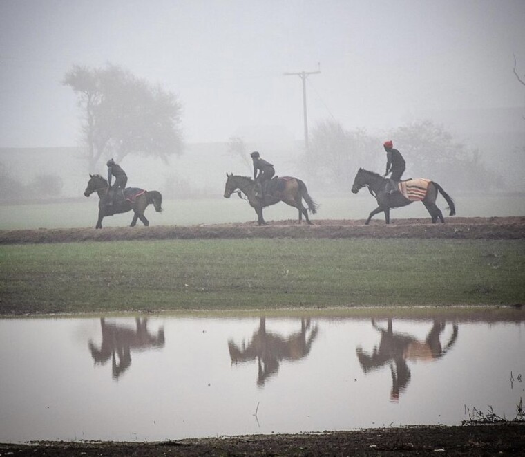 Jessica Bedi - National Racehorse Week