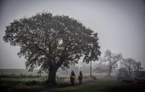 Jessica Bedi - National Racehorse Week