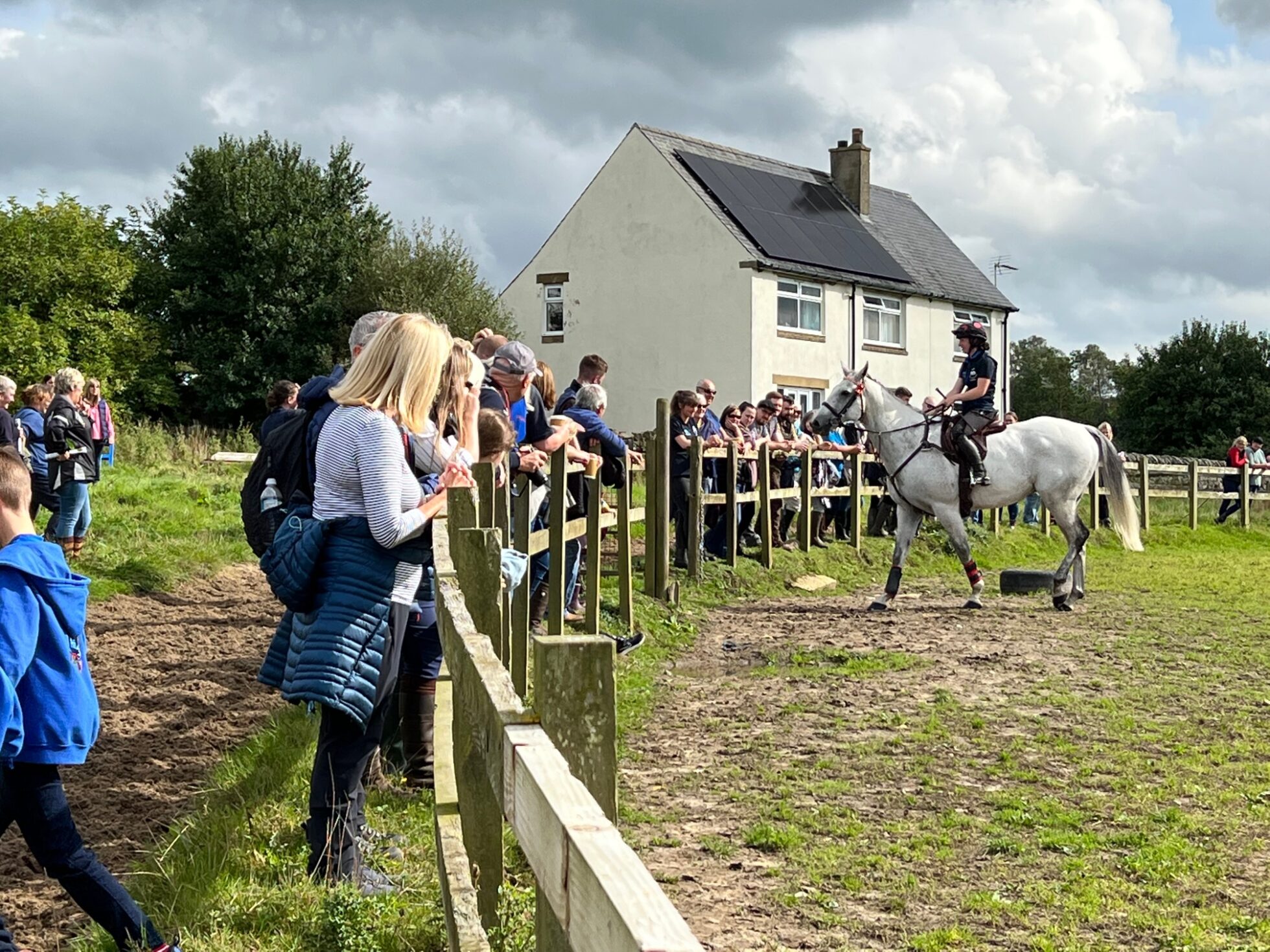 Susan Corbett - National Racehorse Week