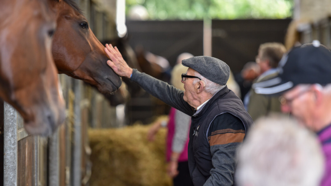 National Racehorse Week - Annual Racehorse Celebration