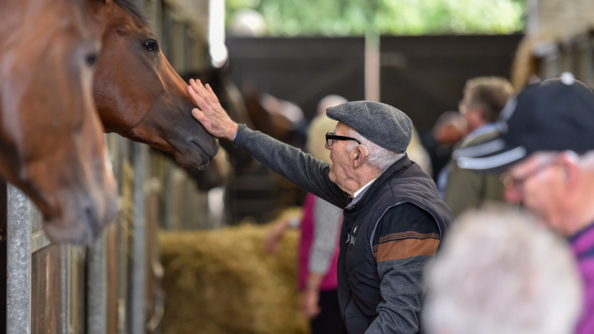 National Racehorse Week - Annual Racehorse Celebration