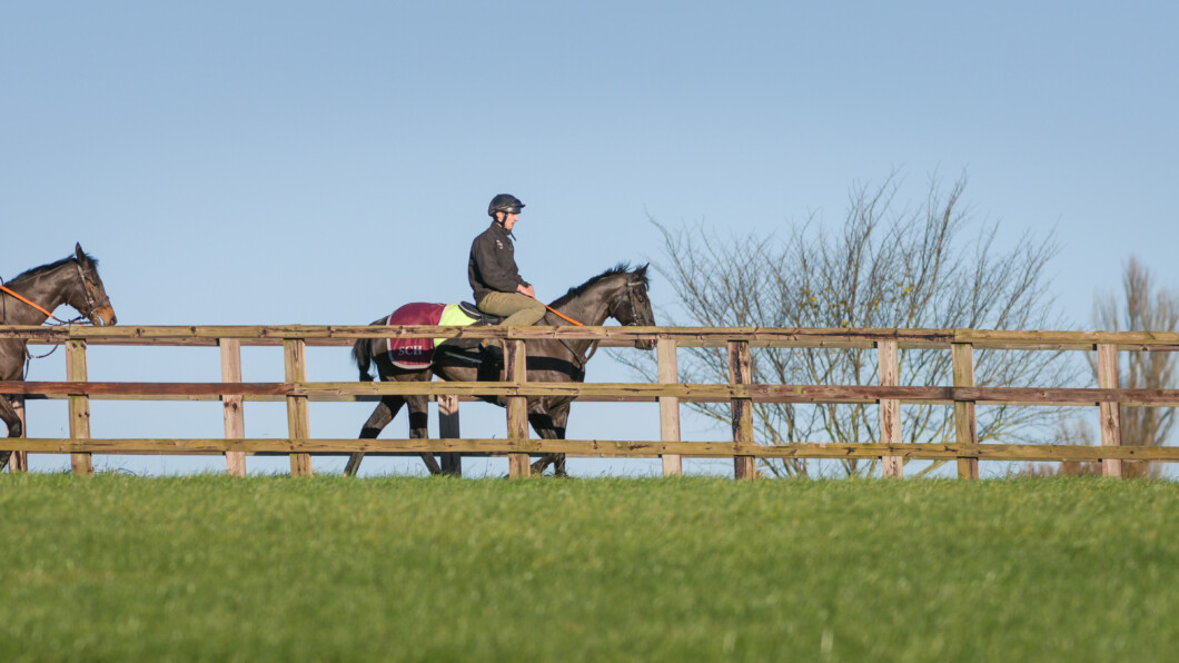 Steph Hollinshead - National Racehorse Week