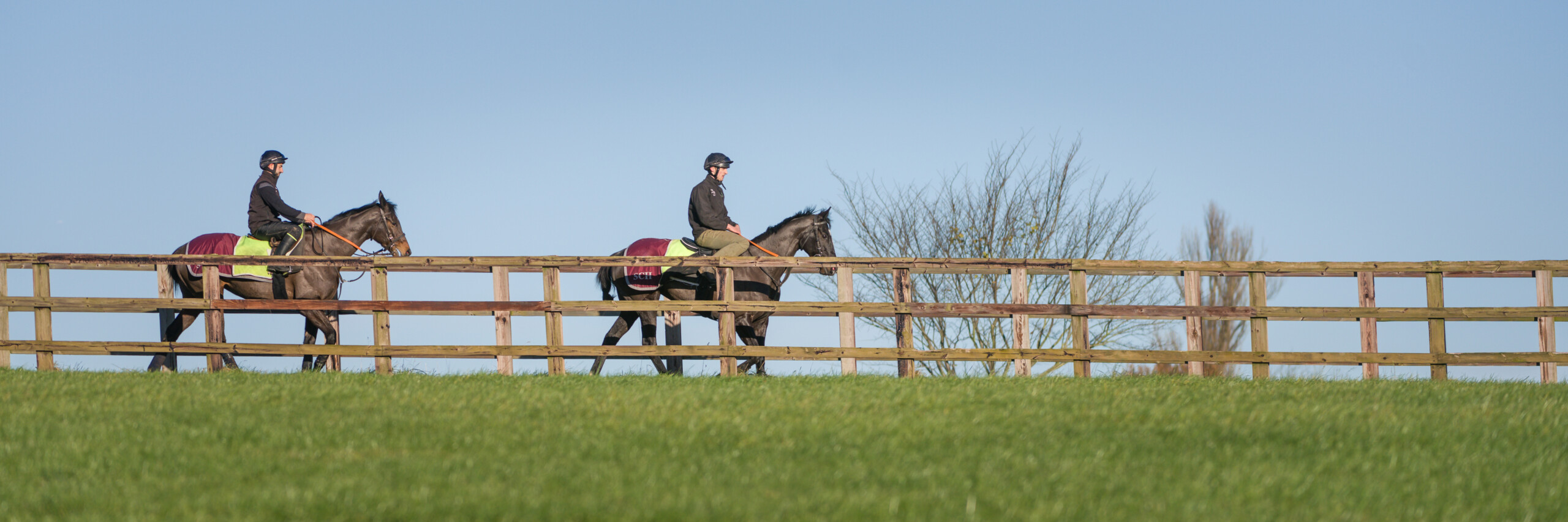 Steph Hollinshead - National Racehorse Week