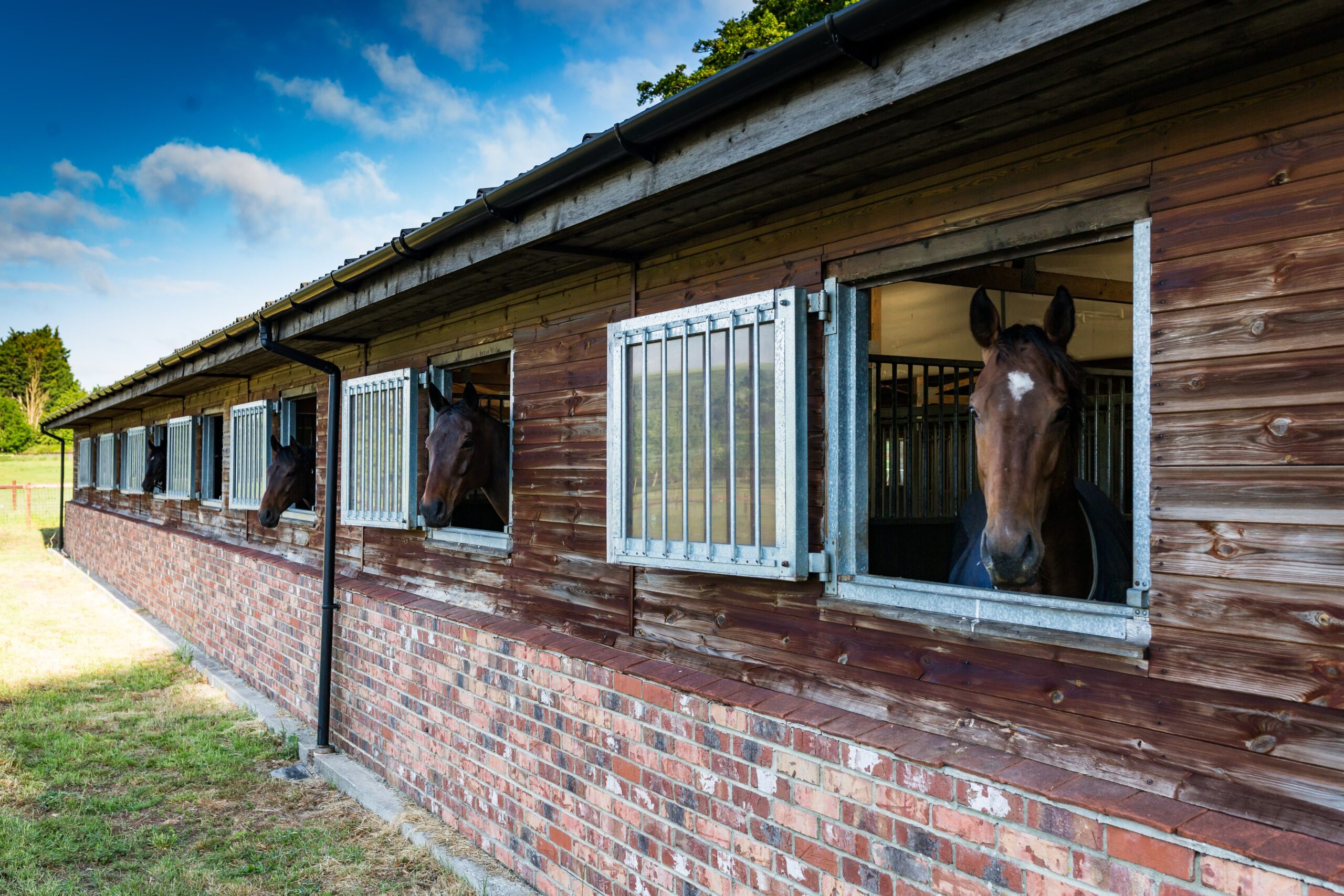 Simon Earle - National Racehorse Week