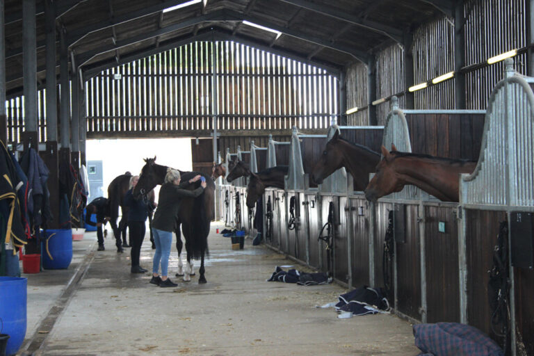 Oliver Greenall & Josh Guerriero - National Racehorse Week