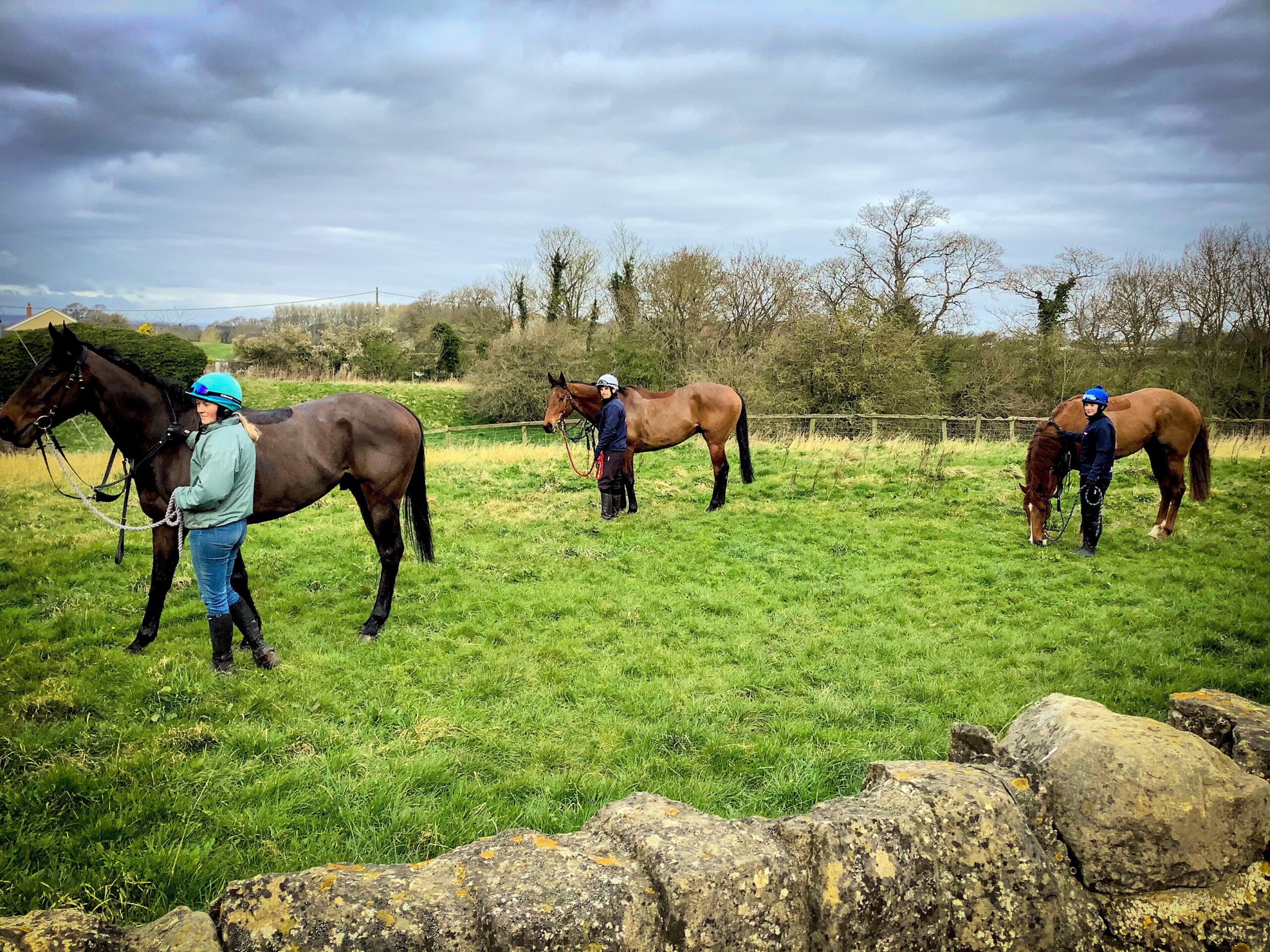 Michael Dods - National Racehorse Week