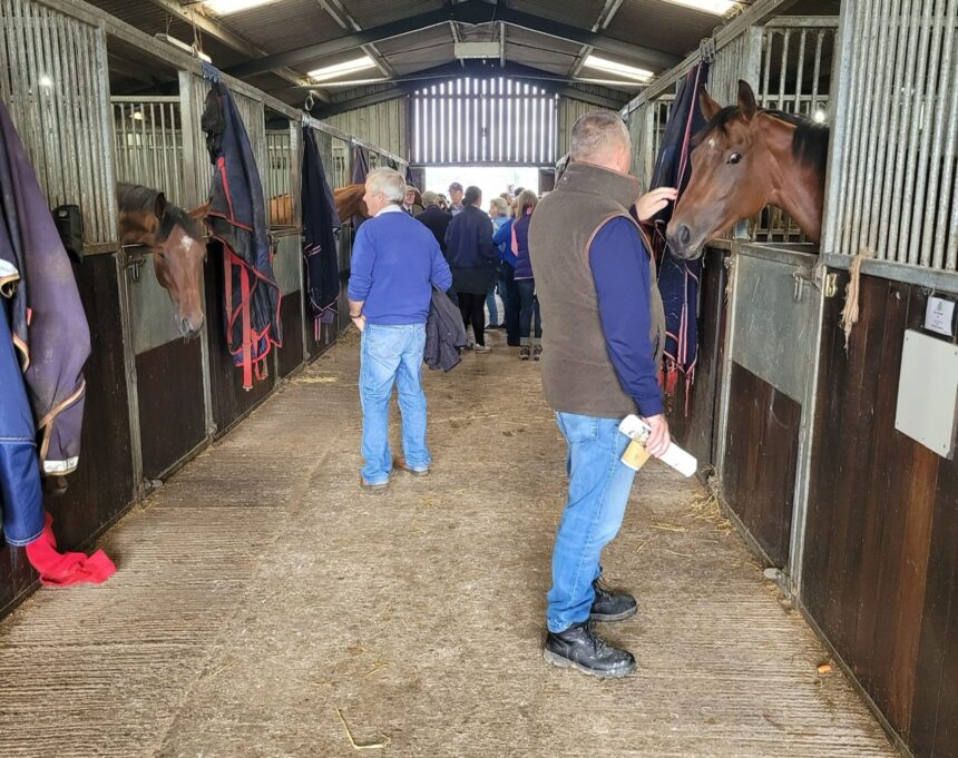 Susan Corbett - National Racehorse Week