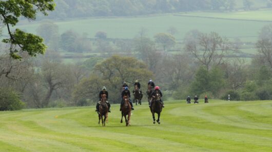Charlie Johnston - National Racehorse Week
