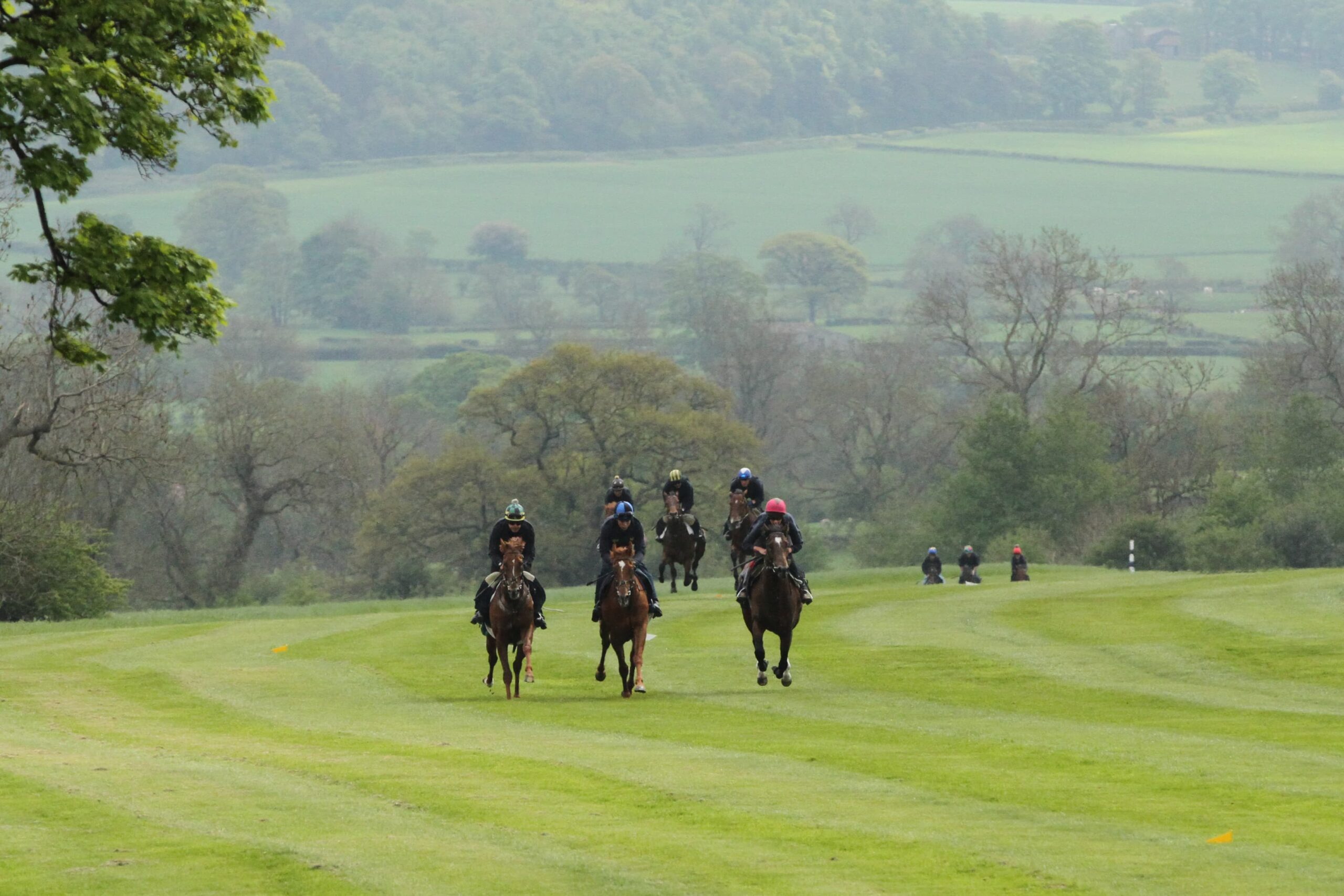 Charlie Johnston - National Racehorse Week
