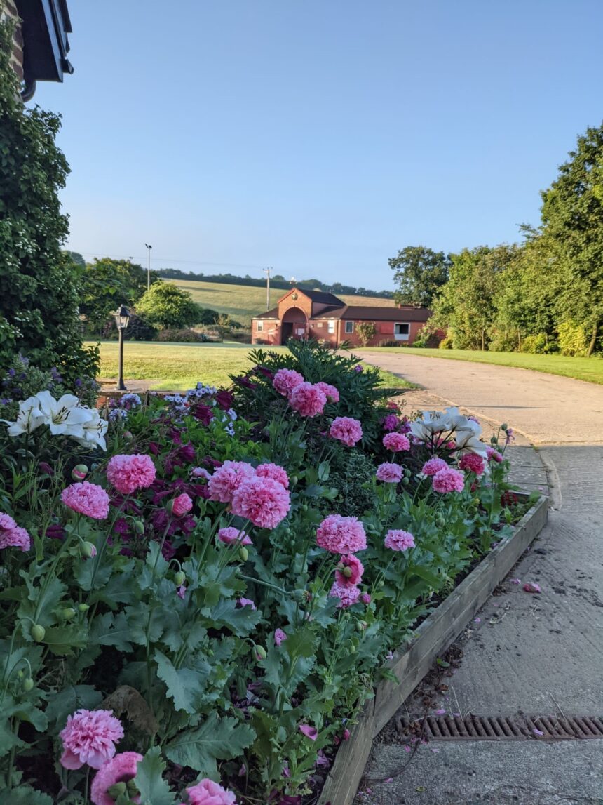 Jane Williams - National Racehorse Week