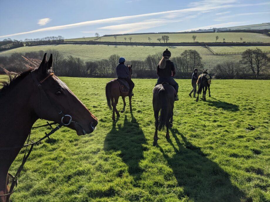 Jane Williams - National Racehorse Week