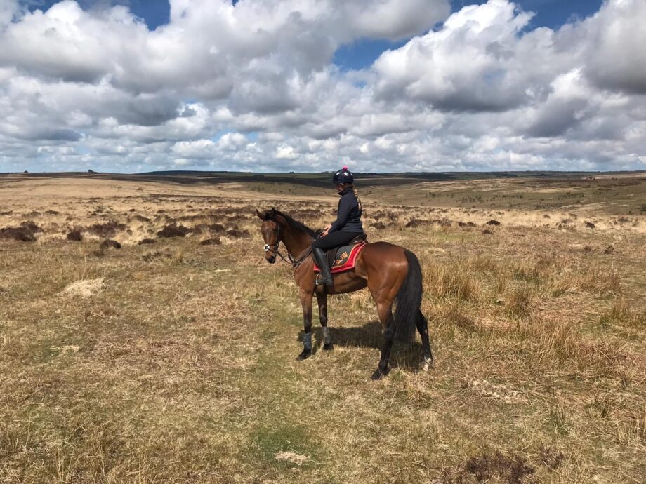 Jane Williams - National Racehorse Week
