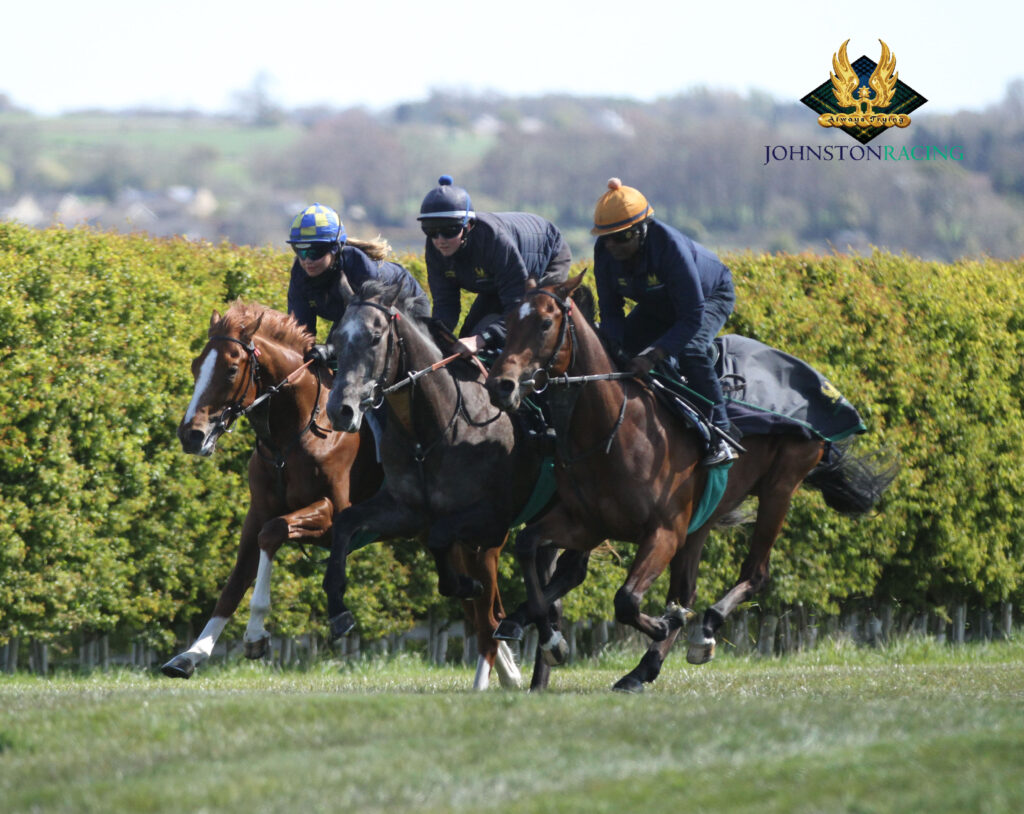 Charlie Johnston - National Racehorse Week