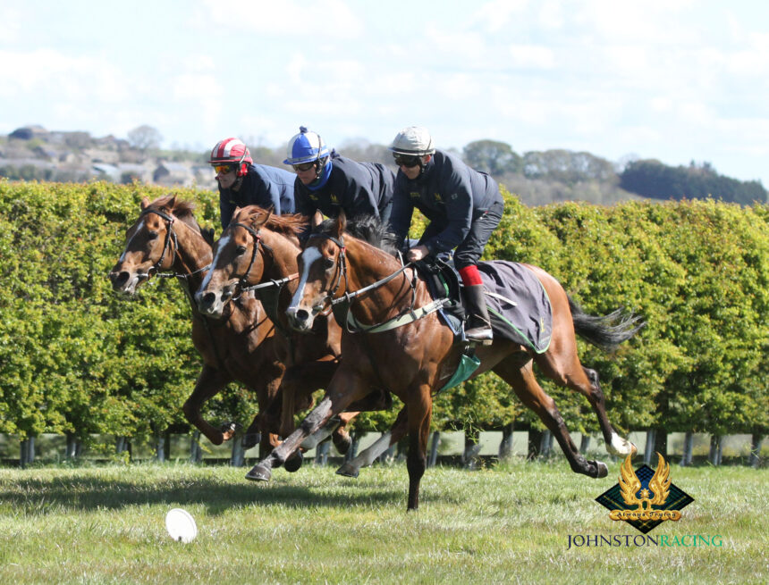 Events - National Racehorse Week