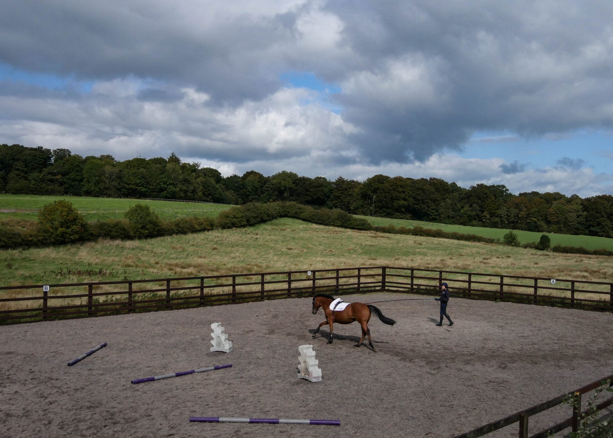 The British Thoroughbred Retraining Centre - National Racehorse Week