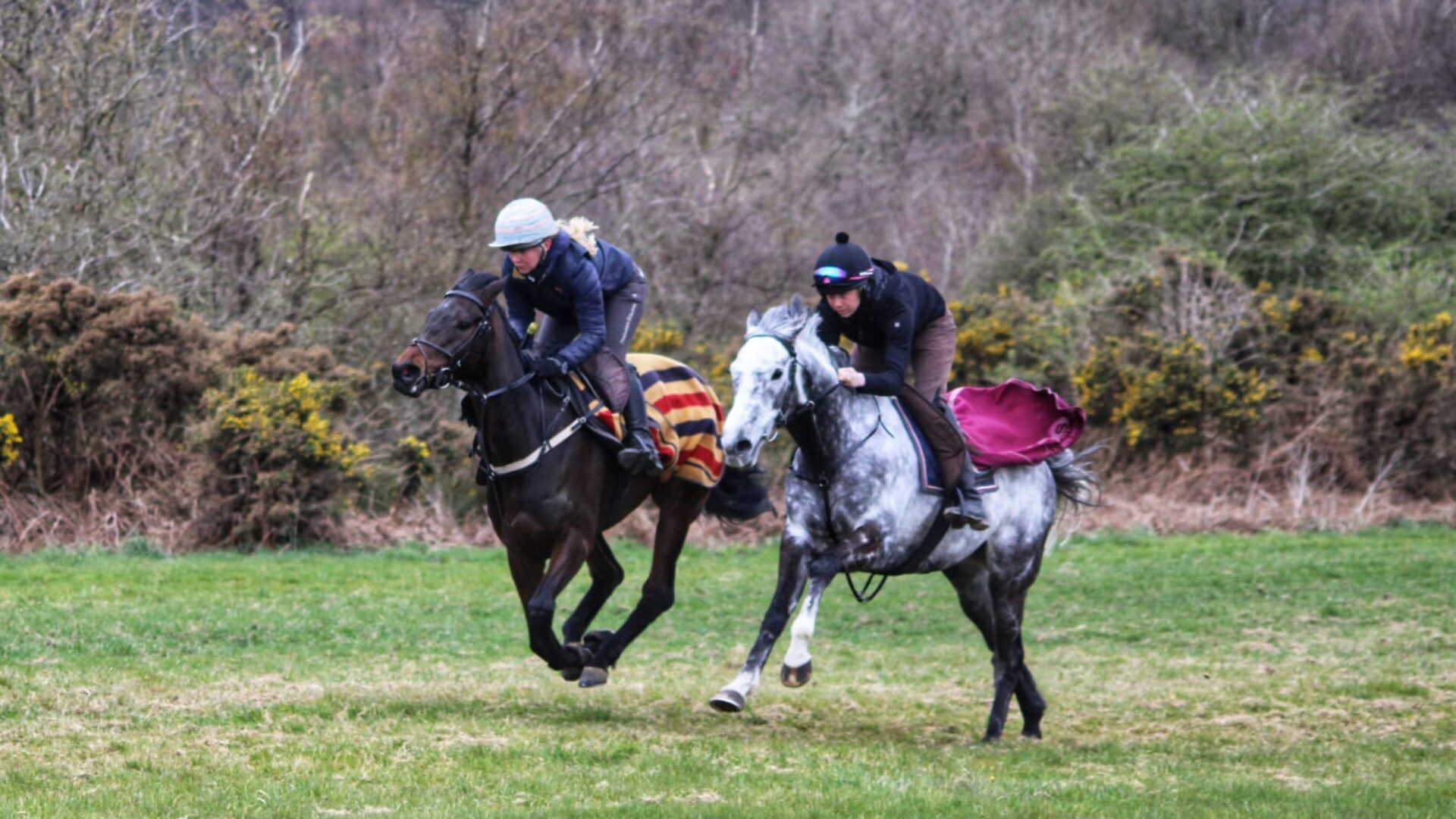 Sarah Hollinshead - National Racehorse Week