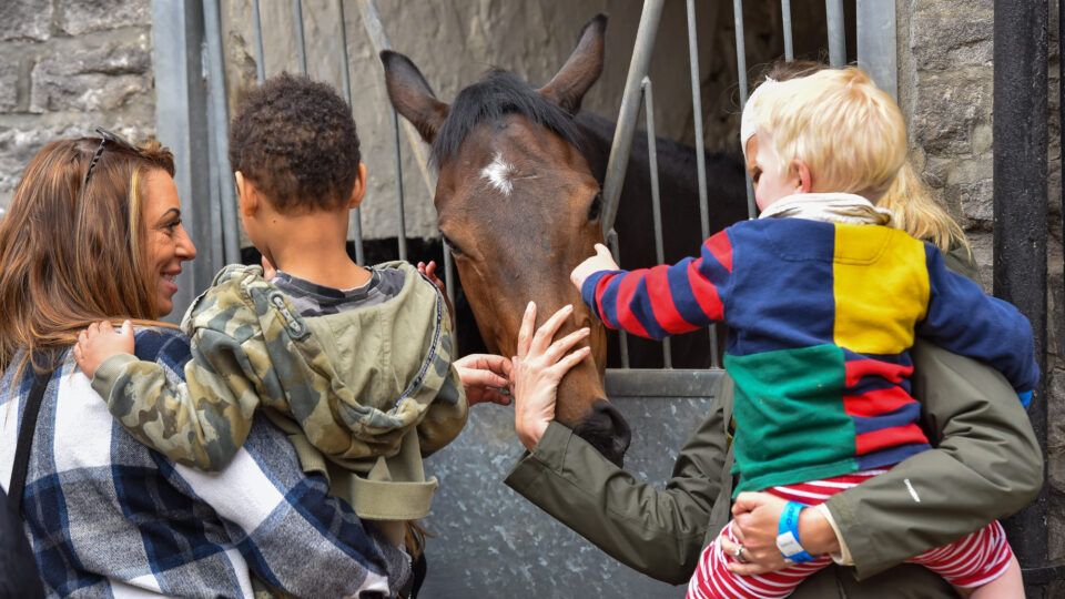 National Racehorse Week - Annual Racehorse Celebration