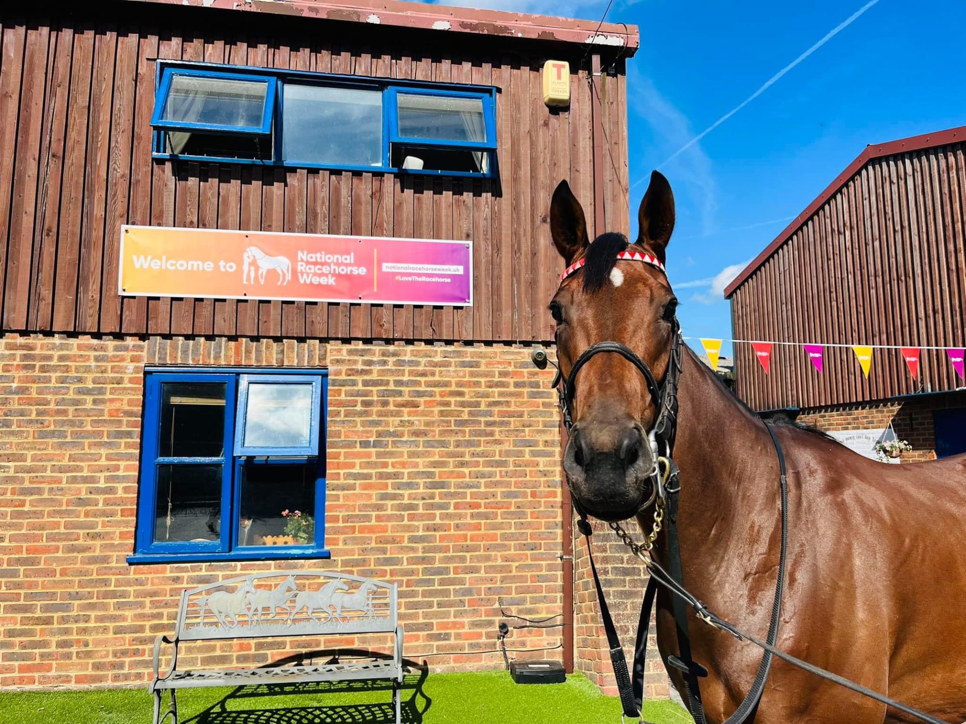 Karen Jewell - National Racehorse Week