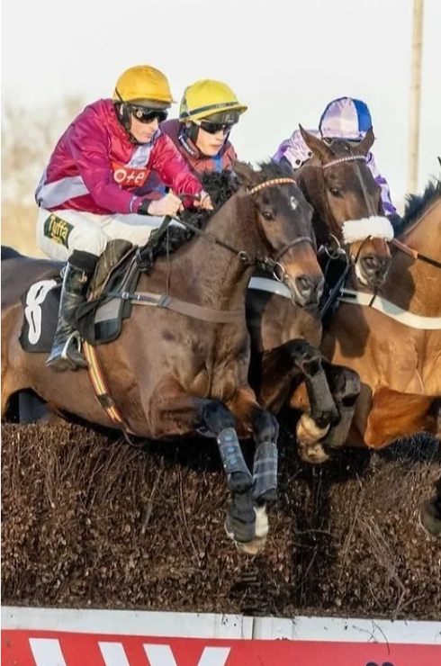 Karen Jewell - National Racehorse Week