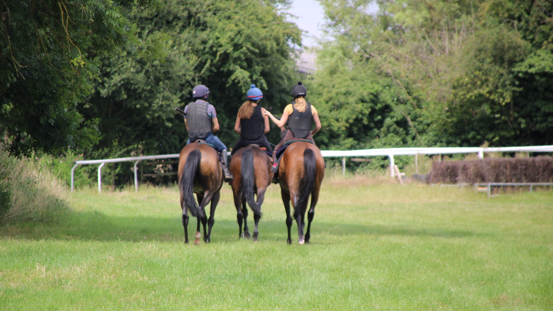 Mel Rowley - National Racehorse Week