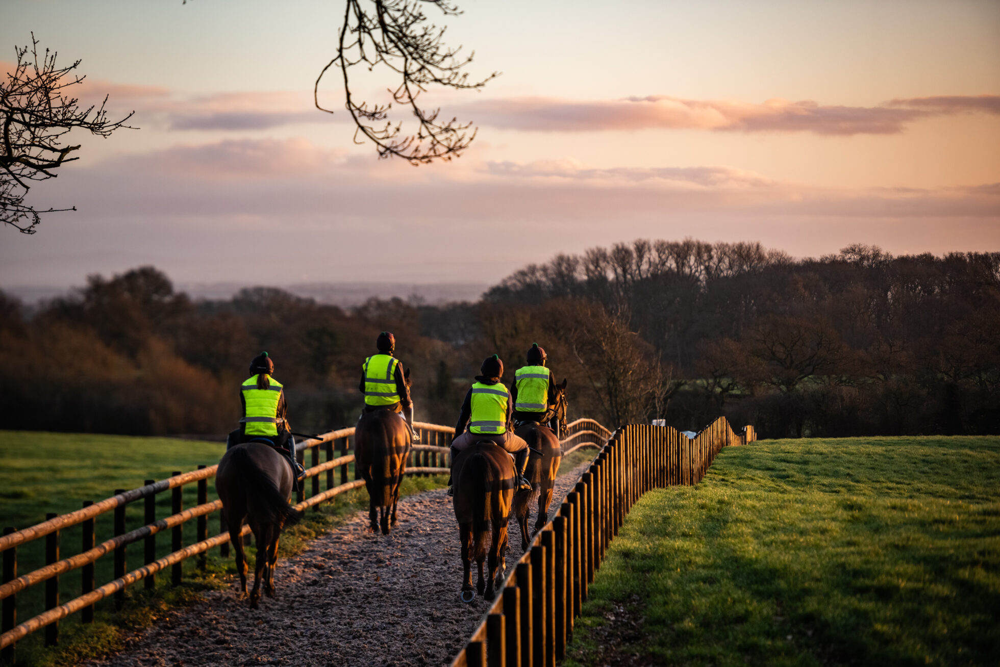 Sam Allwood - National Racehorse Week