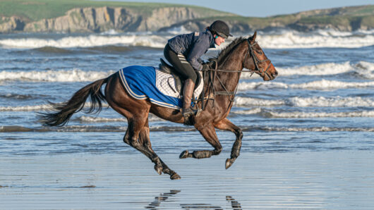 National Racehorse Week - Annual Racehorse Celebration