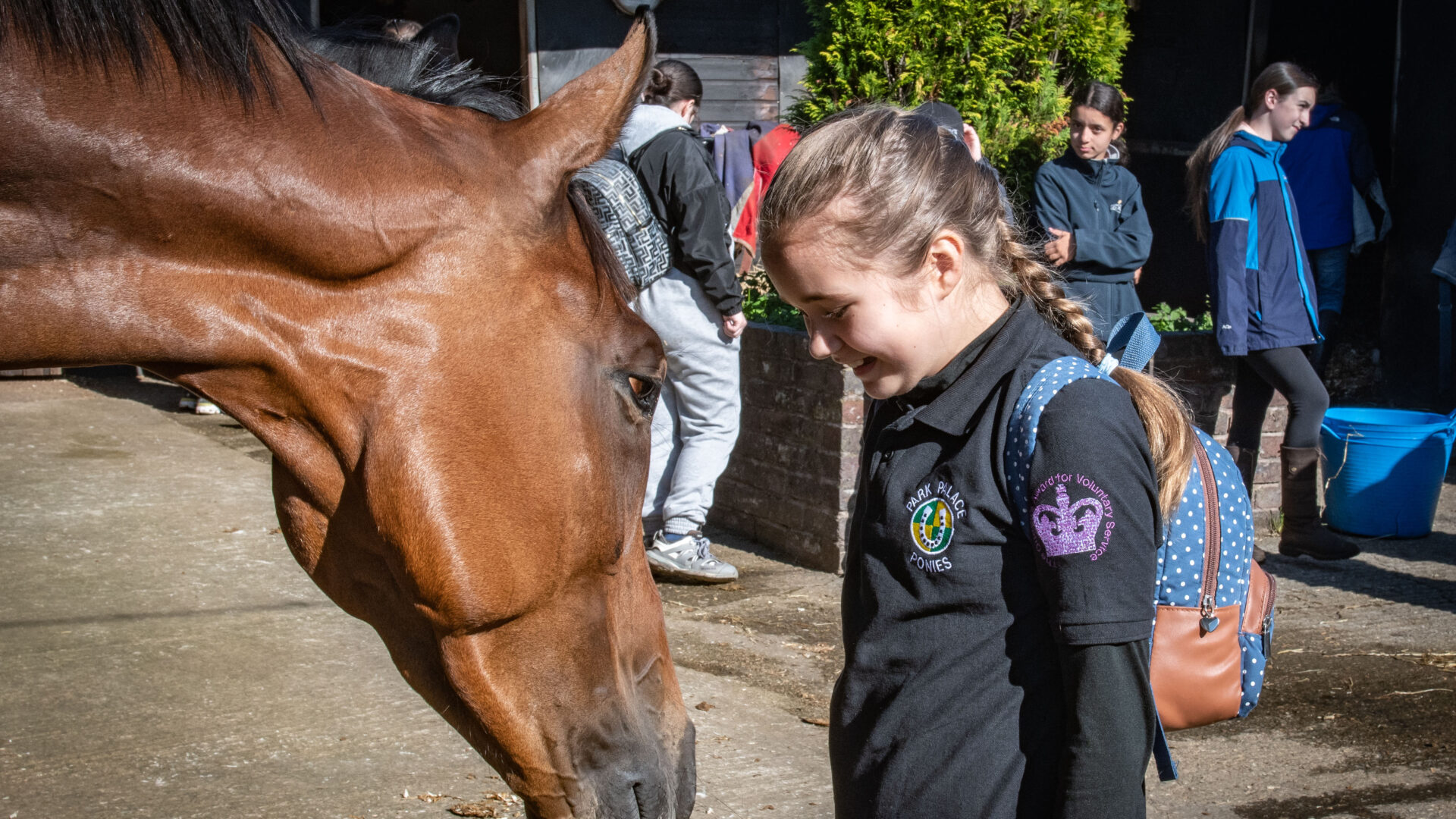 National Racehorse Week - Annual Racehorse Celebration