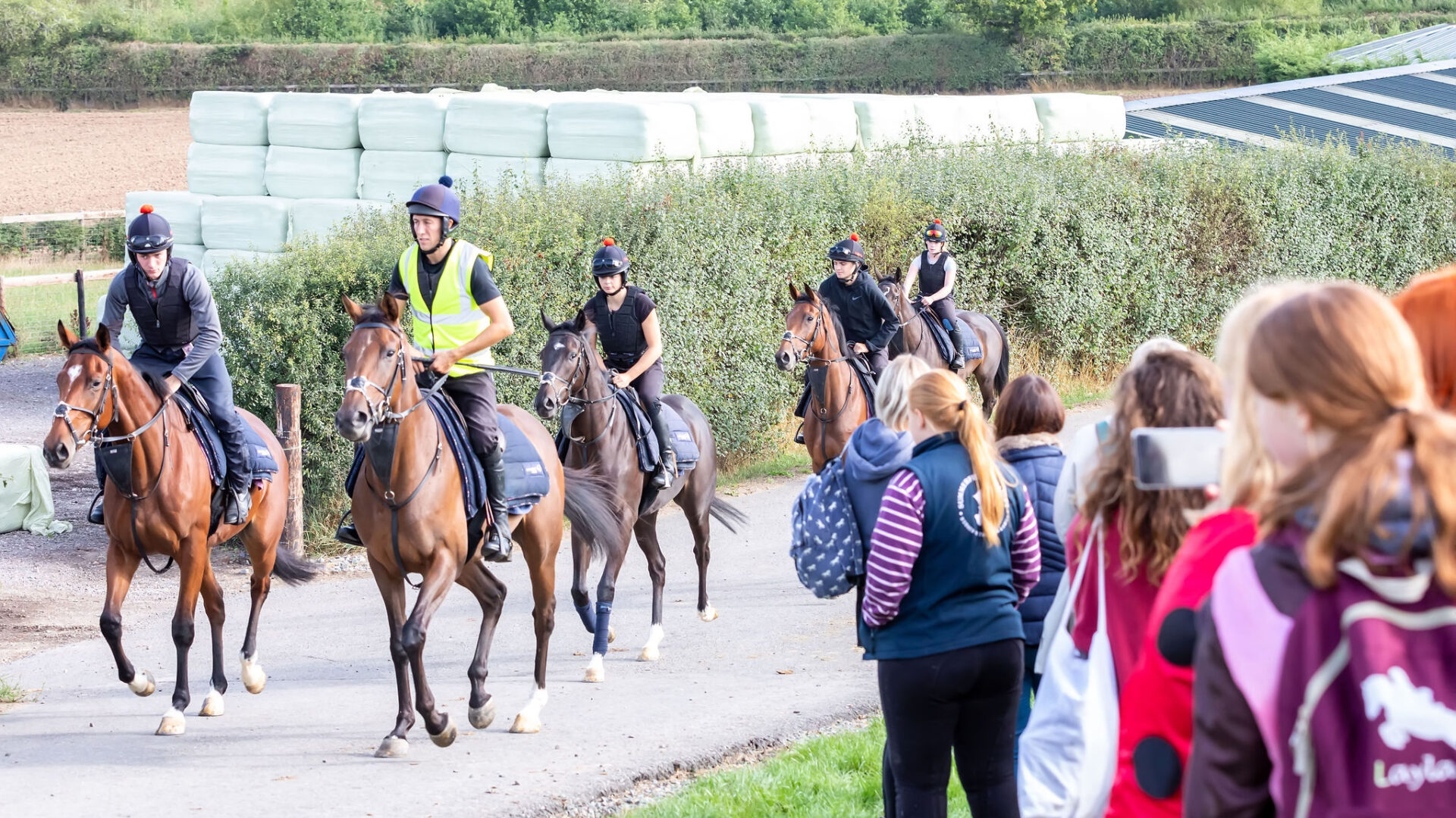 National Racehorse Week - Annual Racehorse Celebration