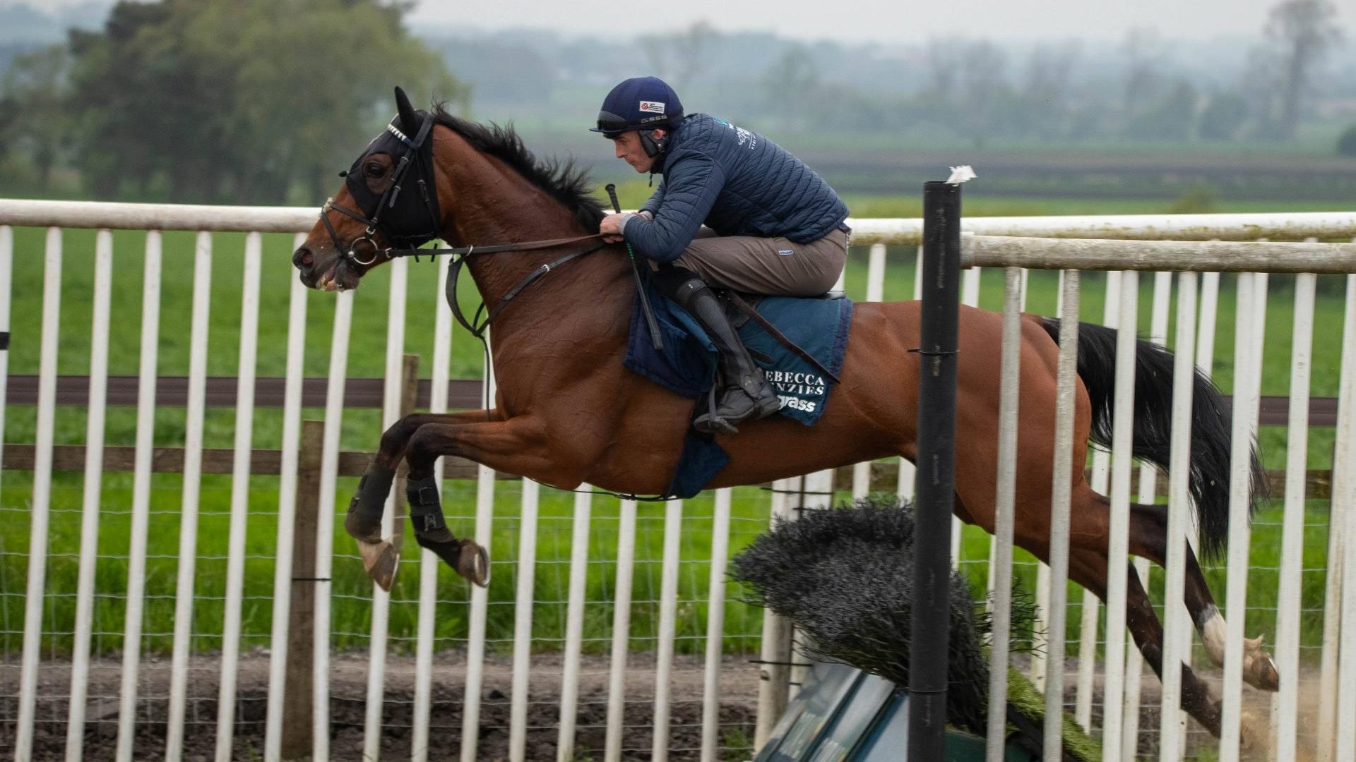 Rebecca Menzies - National Racehorse Week