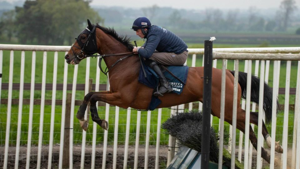 Rebecca Menzies - National Racehorse Week