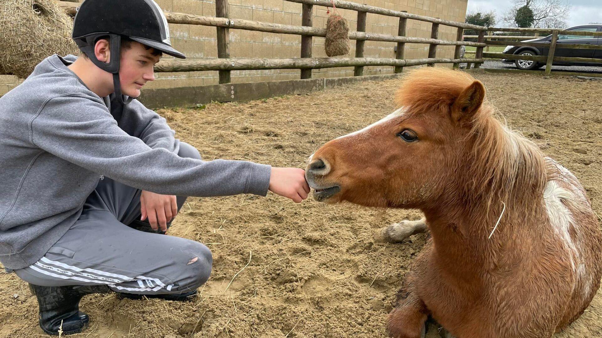 Peopleton Brook Care Farm - National Racehorse Week