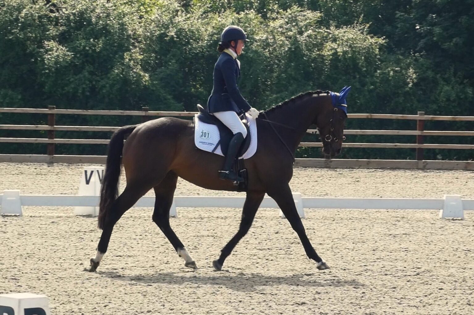 Mills Stables Retraining - National Racehorse Week