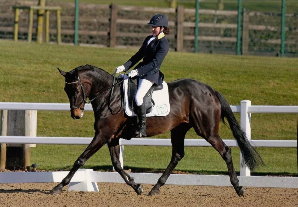 Mills Stables Retraining - National Racehorse Week