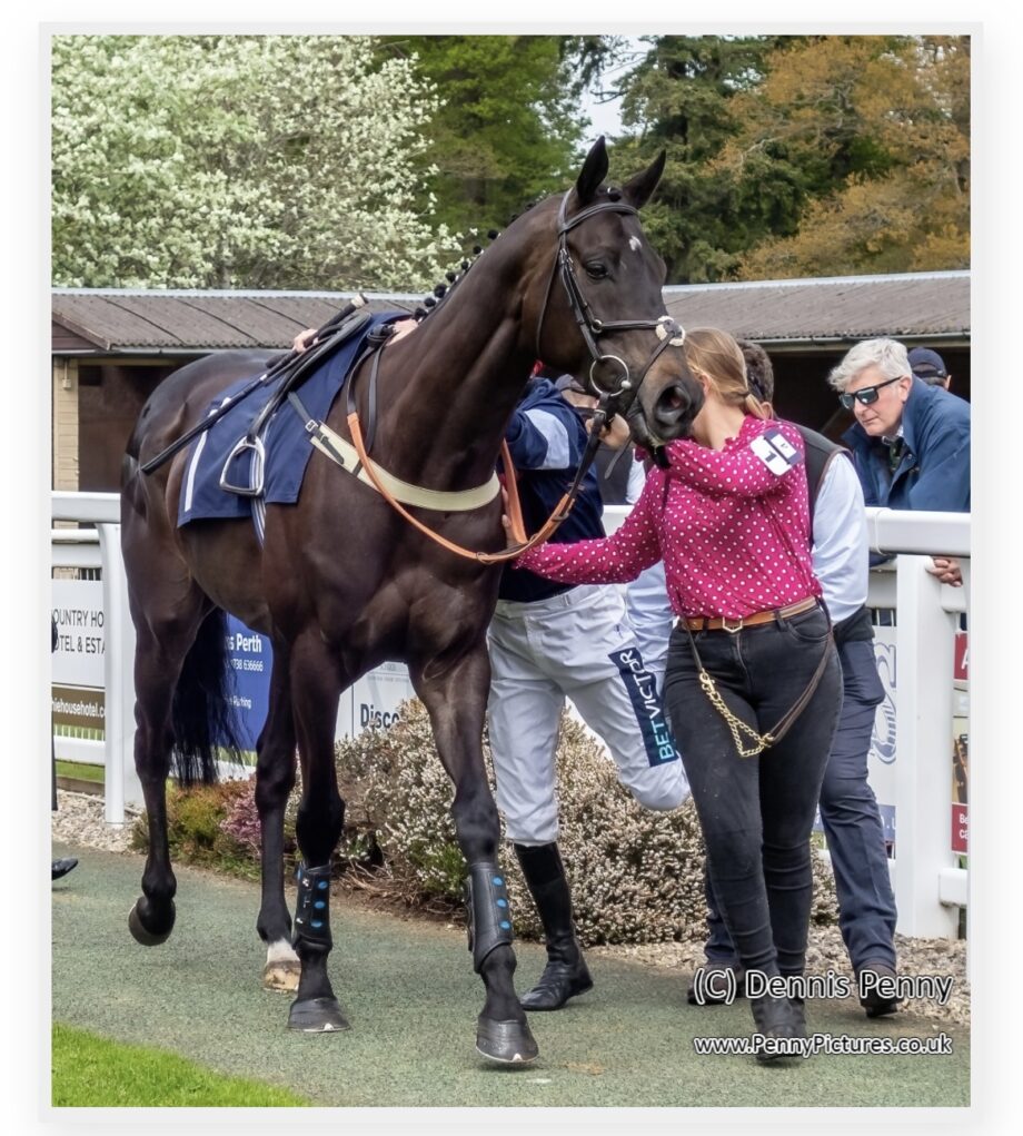Mike Smith - National Racehorse Week