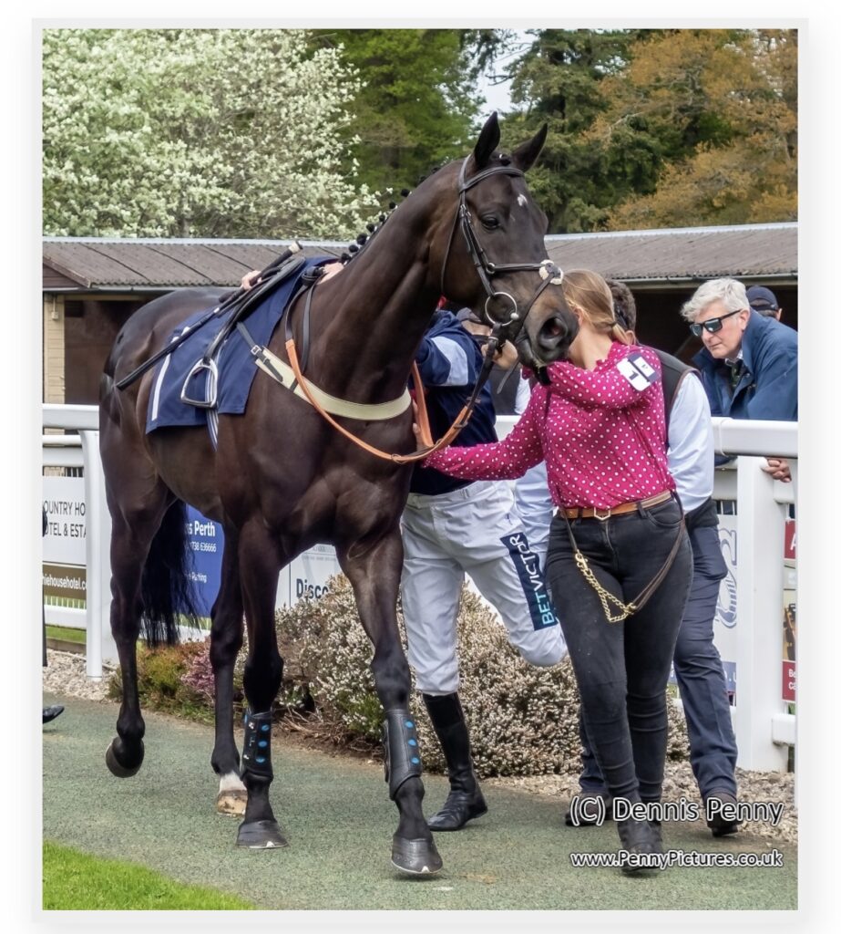 Mike Smith - National Racehorse Week
