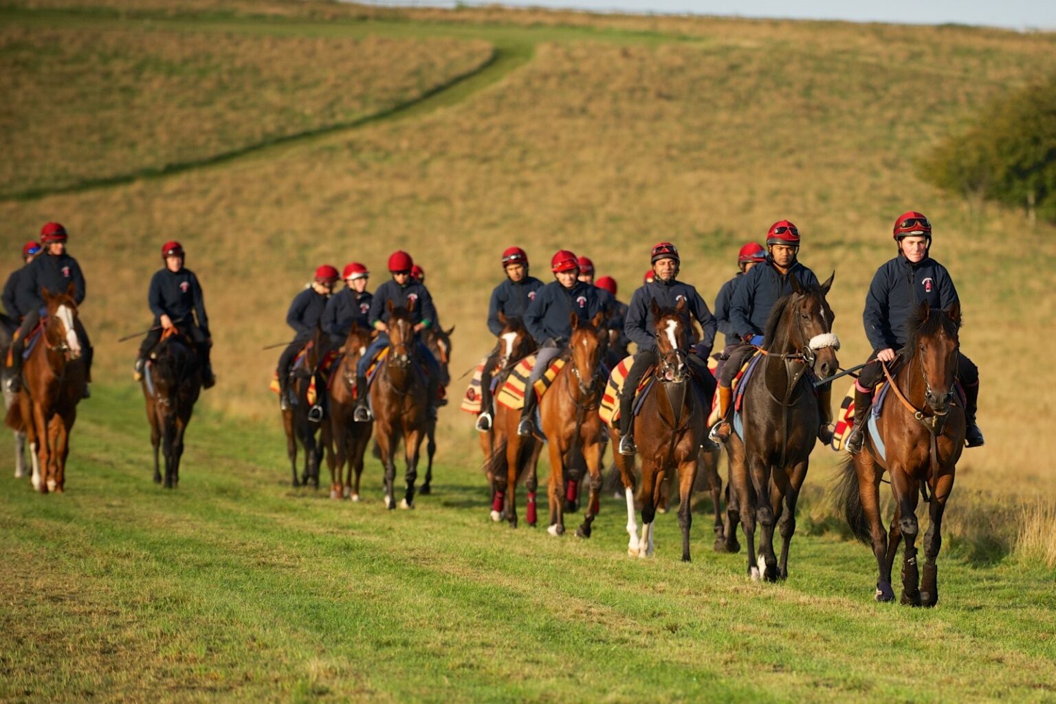 Harry Charlton - National Racehorse Week