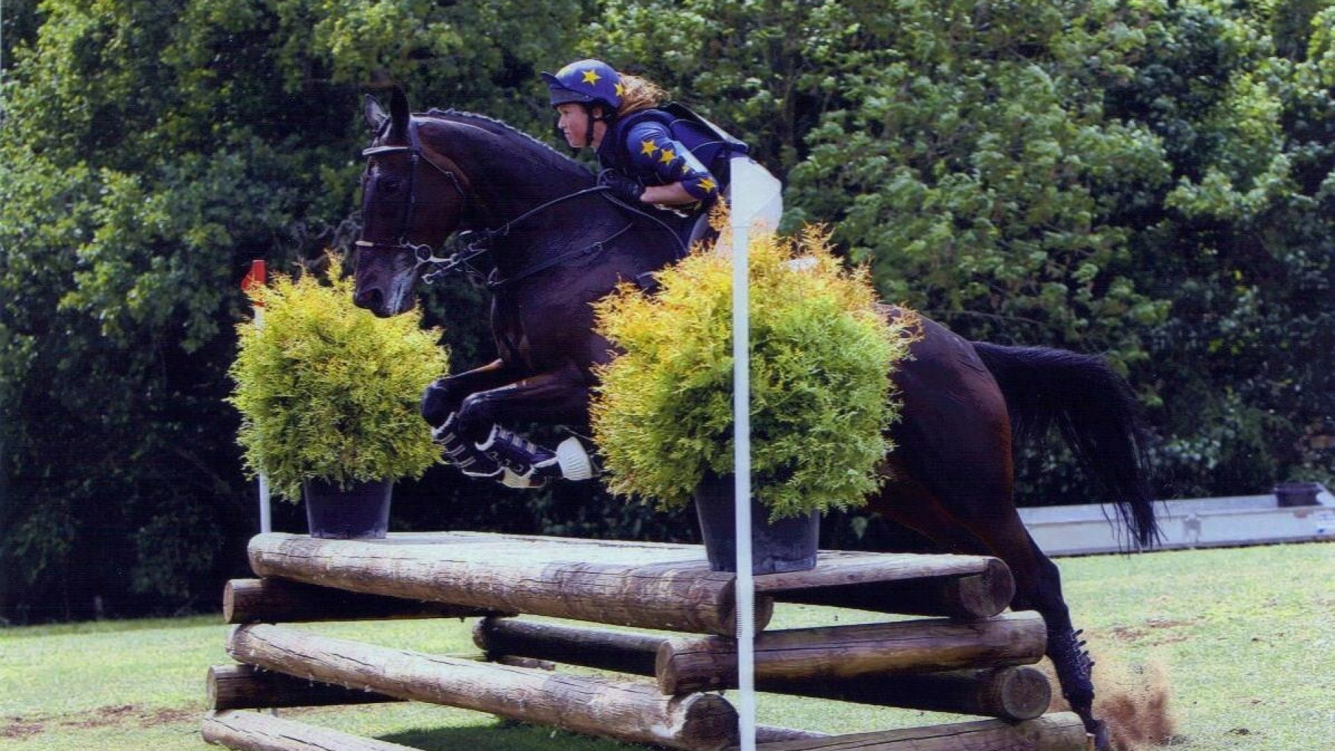 Mills Stables Retraining - National Racehorse Week