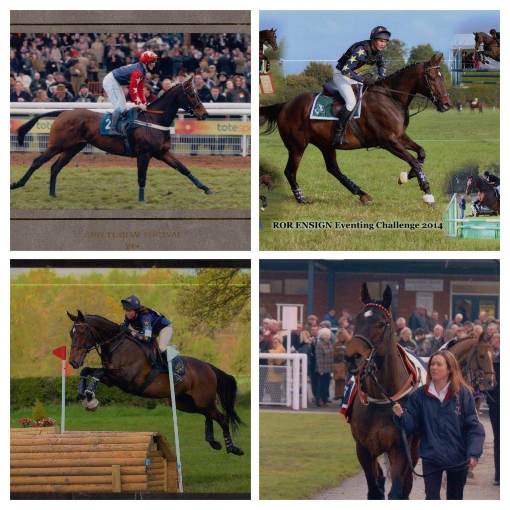 Mills Stables Retraining - National Racehorse Week