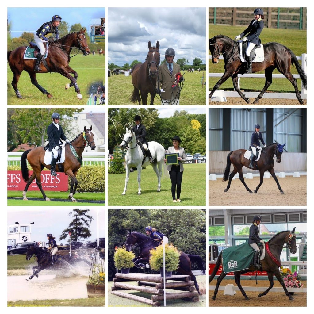 Mills Stables Retraining - National Racehorse Week
